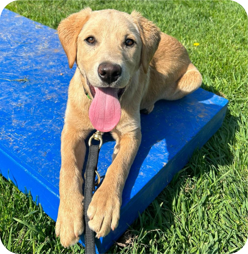 About – Hanlon and Associates