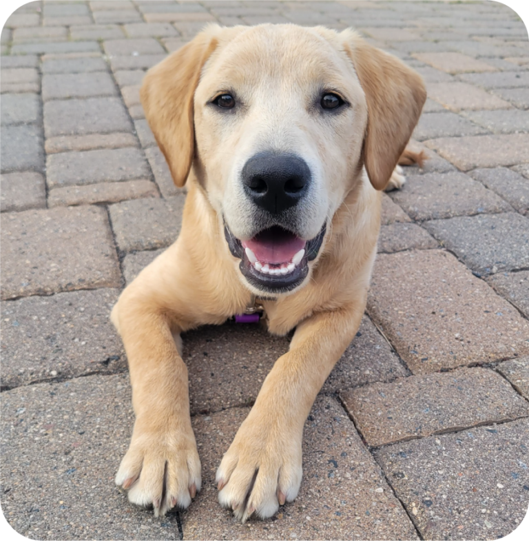 About – Hanlon and Associates