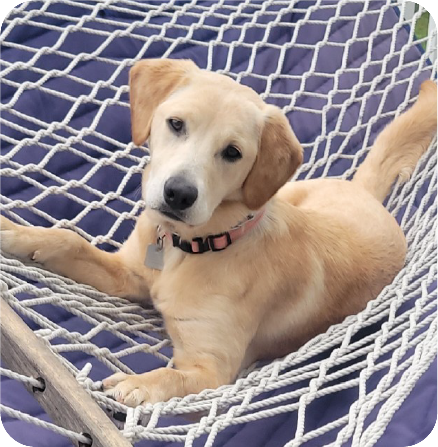 About – Hanlon and Associates